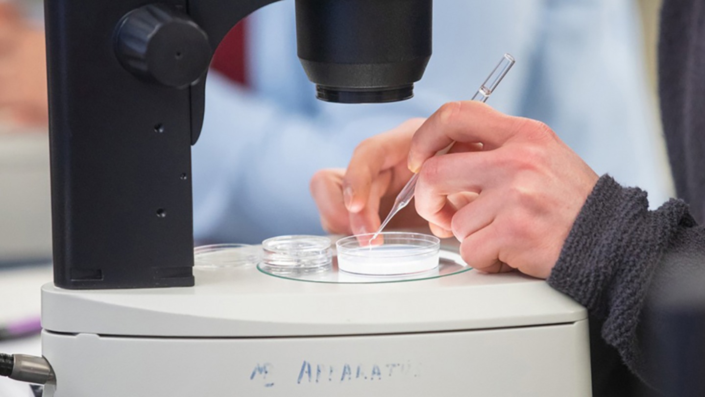 AMCAS/MCAT | Admissions | Medical School | Brown University